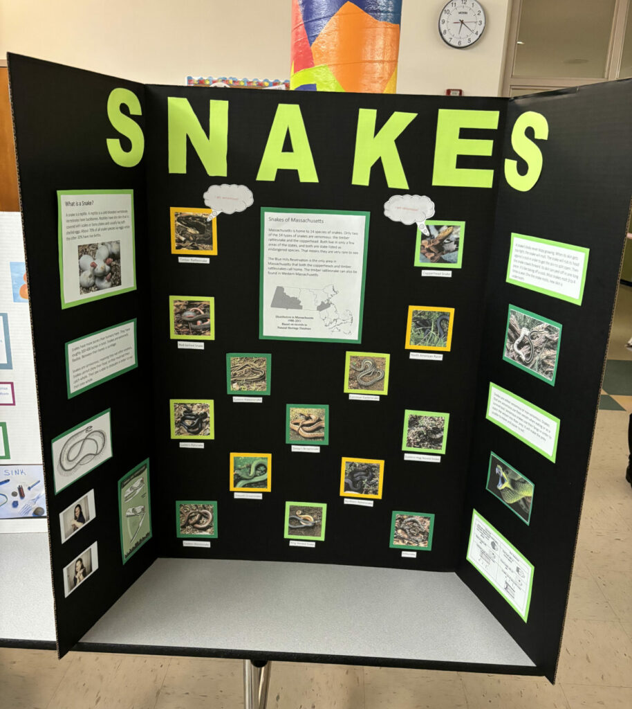 GALLERY: Center Elementary School Science Fair 2024 - Center Elementary ...