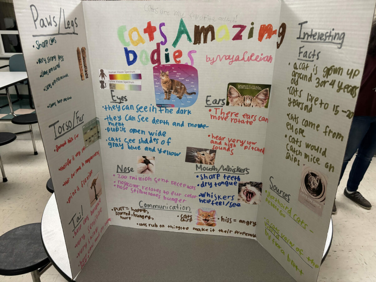 GALLERY: Center Elementary School Science Fair 2024 - Center Elementary ...